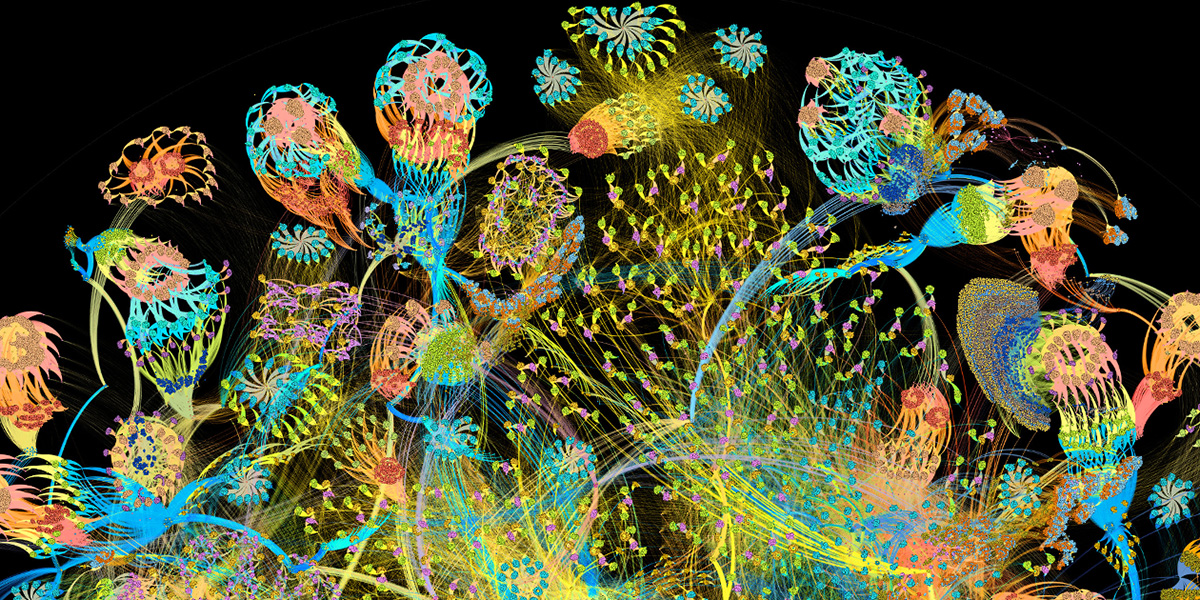 Poplar SDK 3.0 now available